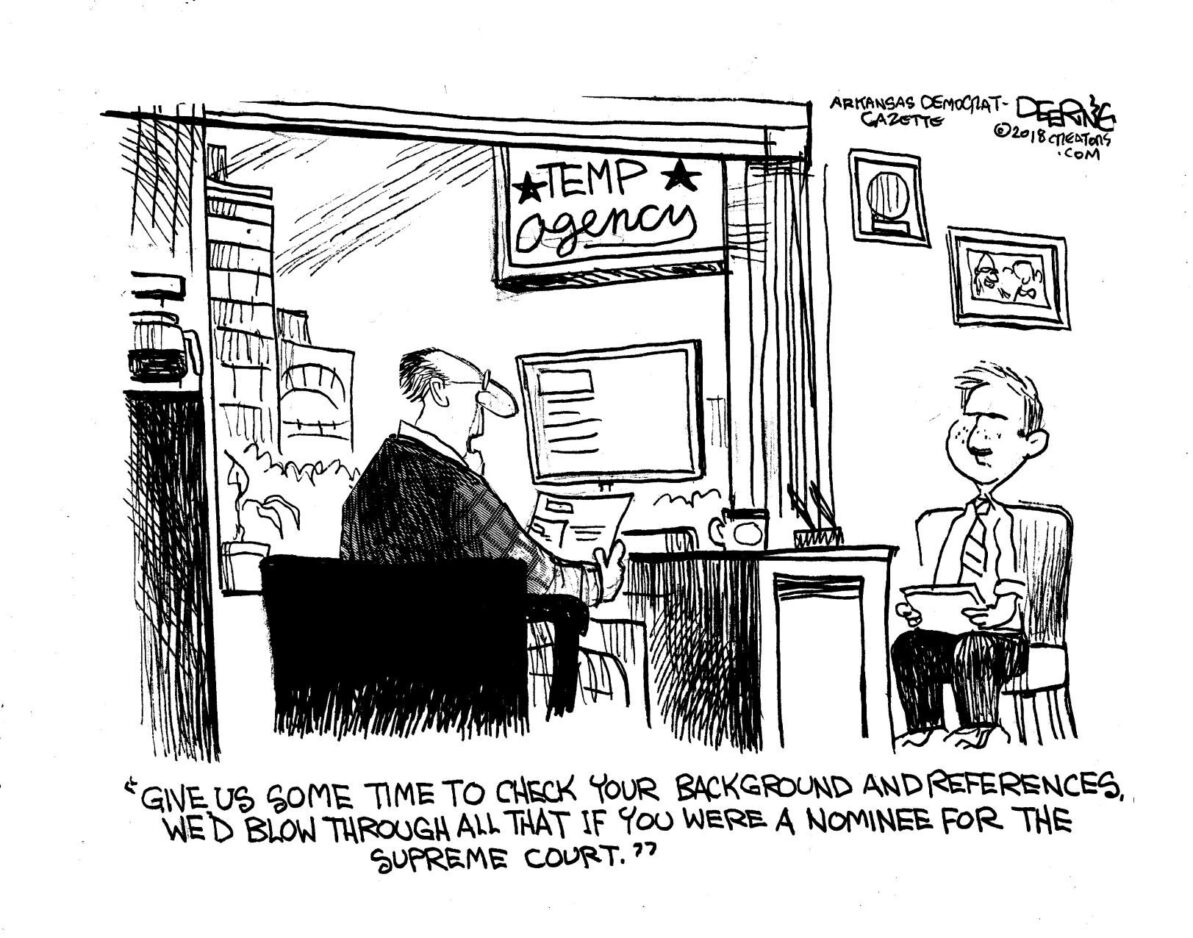 Cartoon: Background check | News, Sports, Jobs - Standard-Examiner